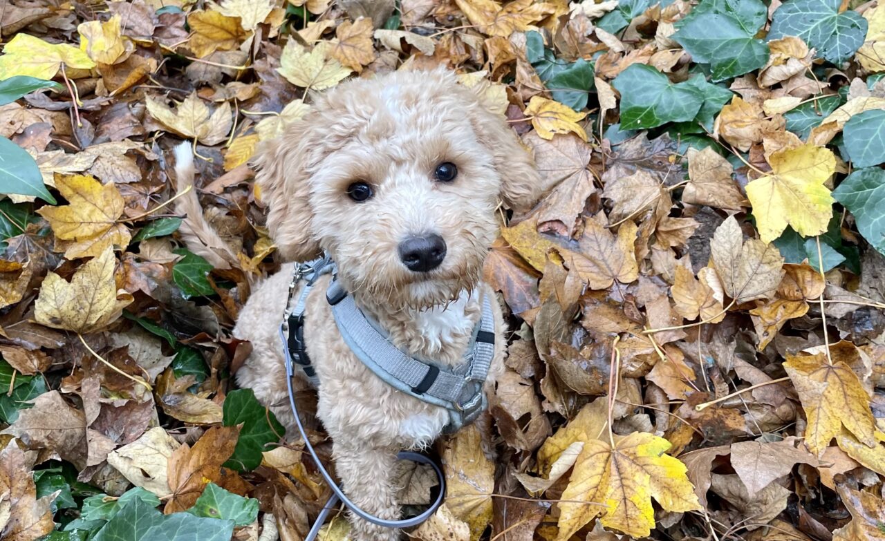Mitarbeiter - Ida Ehre Schule